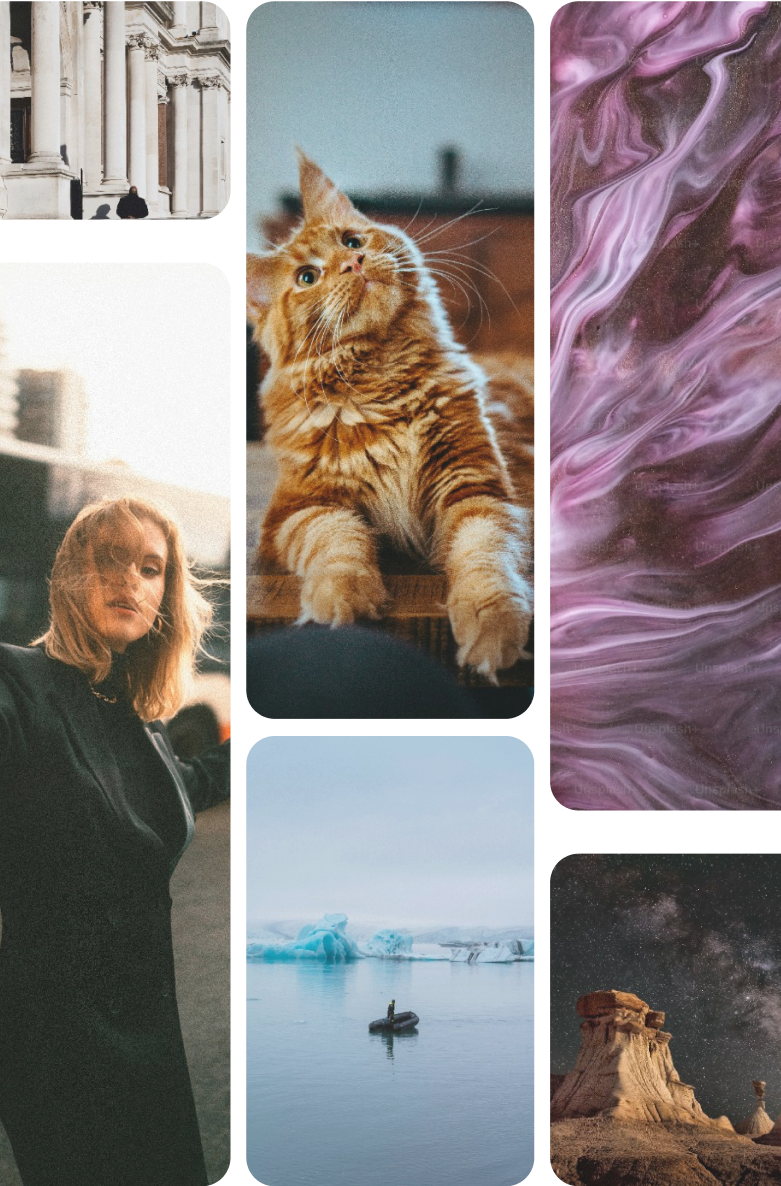 My Collections | Scrolller